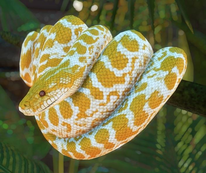 Serpientes En La Selva Tropical